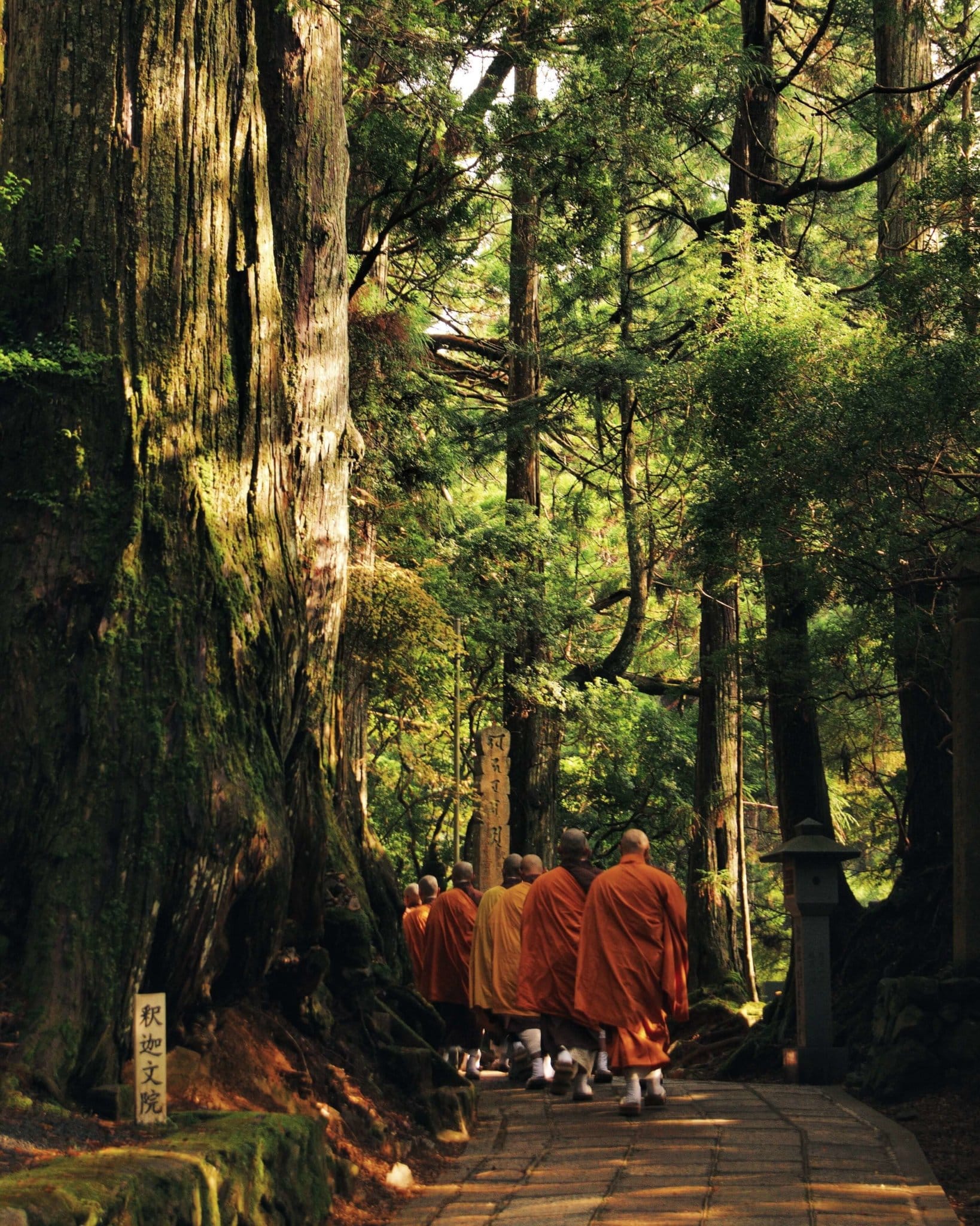 Guide to Visiting Mount Koya (Koyasan) - Boutique Japan