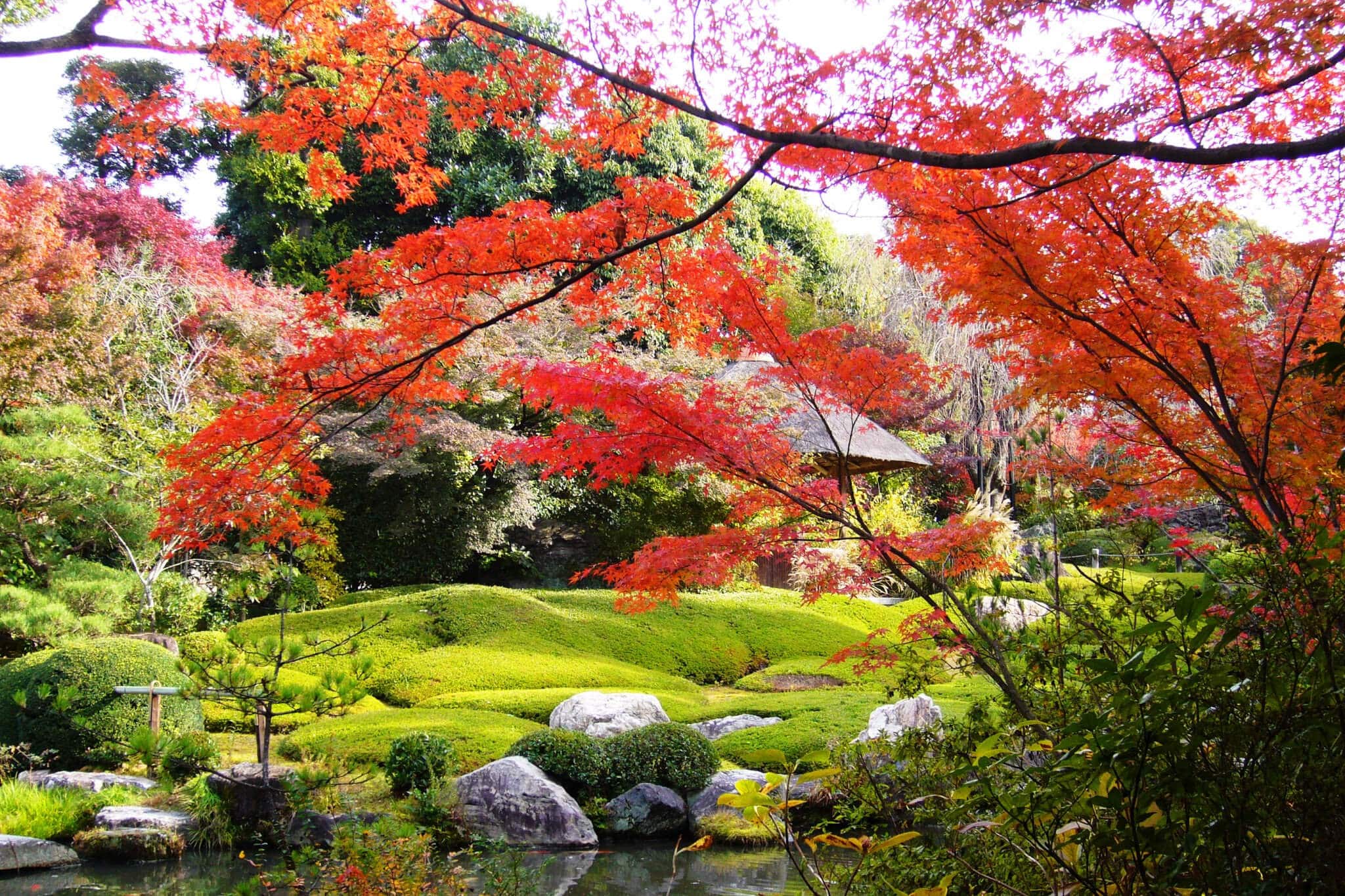 A Guide to Kyoto's Best Temples and Shrines