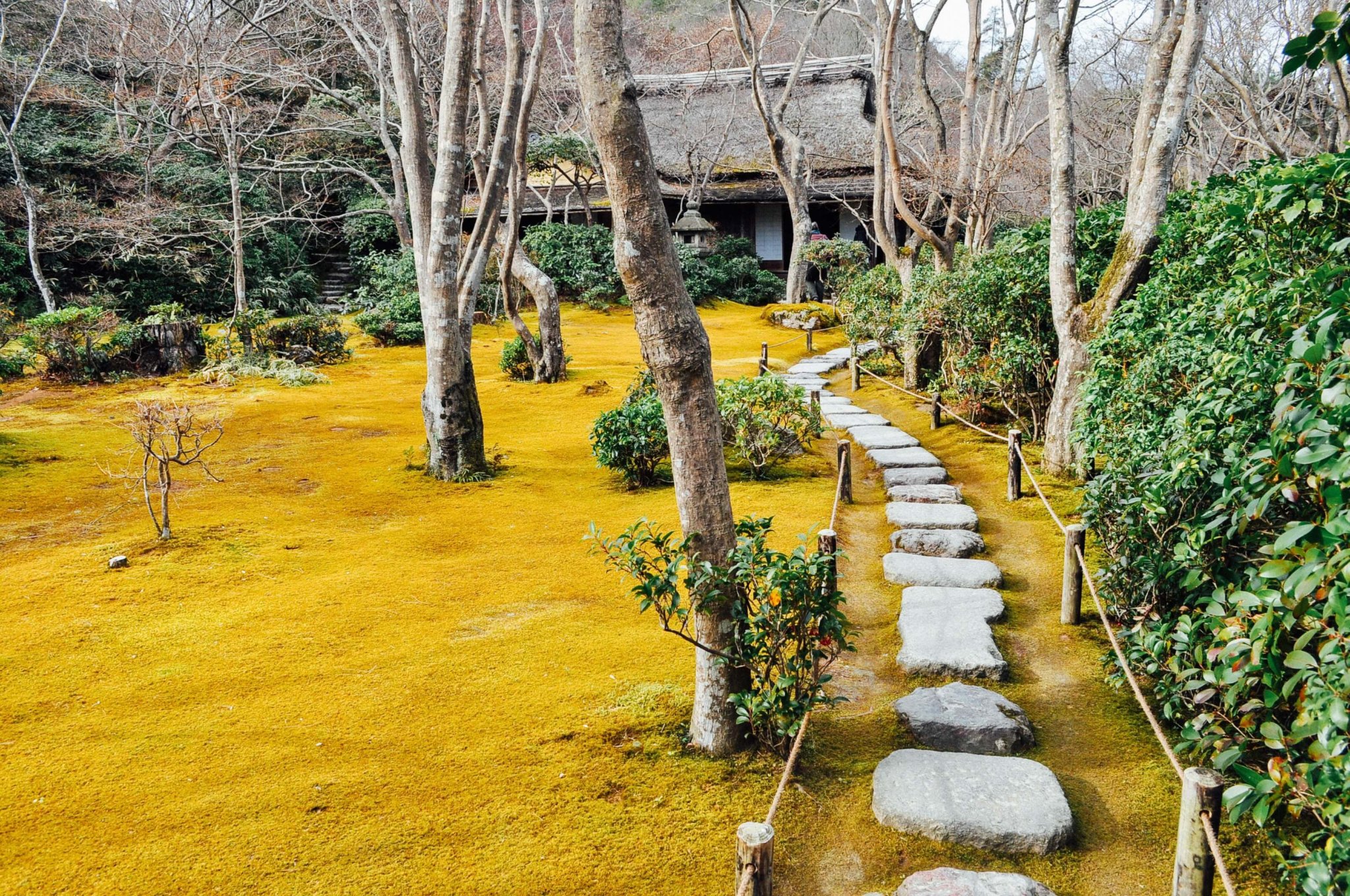 Japan's Most Beautiful Gardens: Tokyo, Kyoto, & Beyond