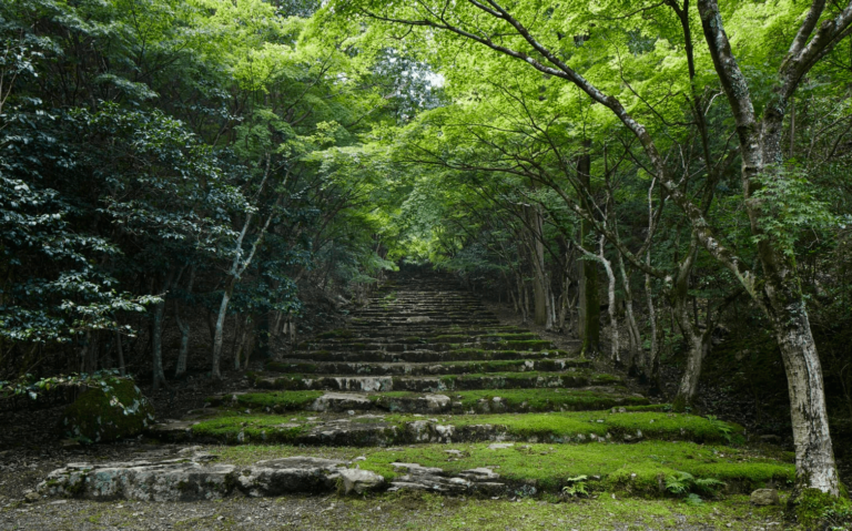 Kyoto Guide: Visiting Japan’s Historic Capital