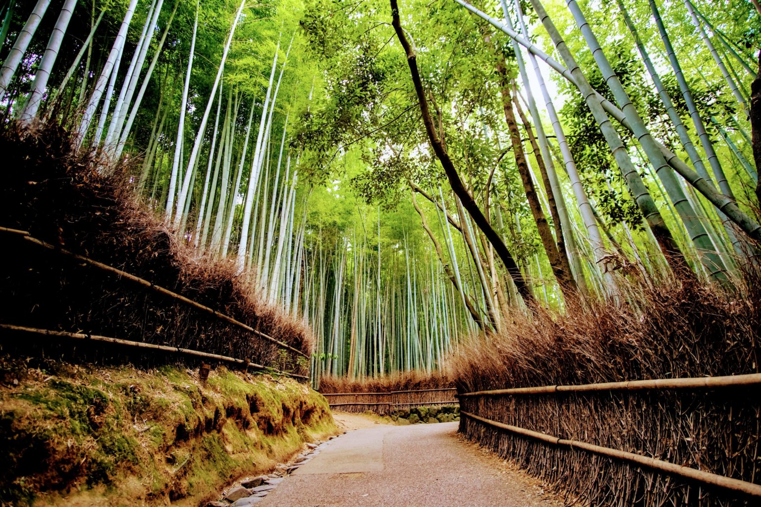 30 Unforgettable Japan Experiences | Boutique Japan